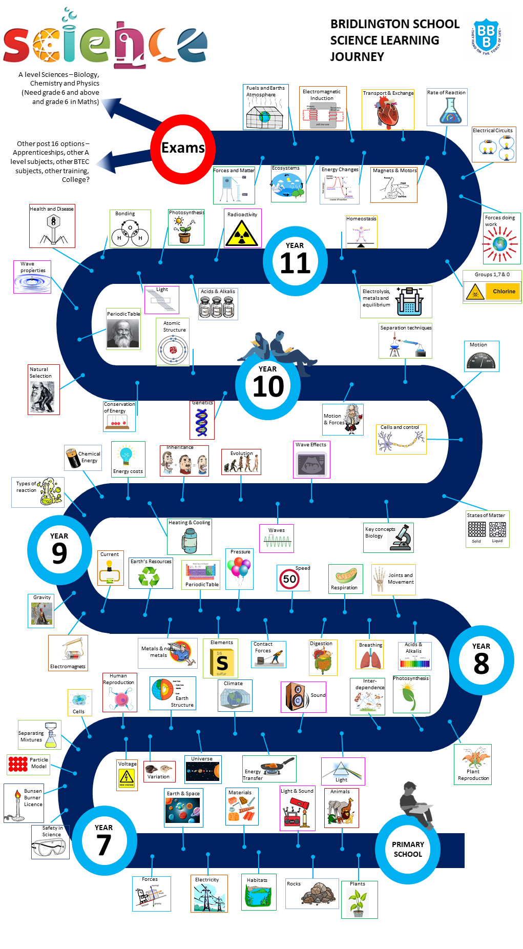 Curriculum – Bridlington School